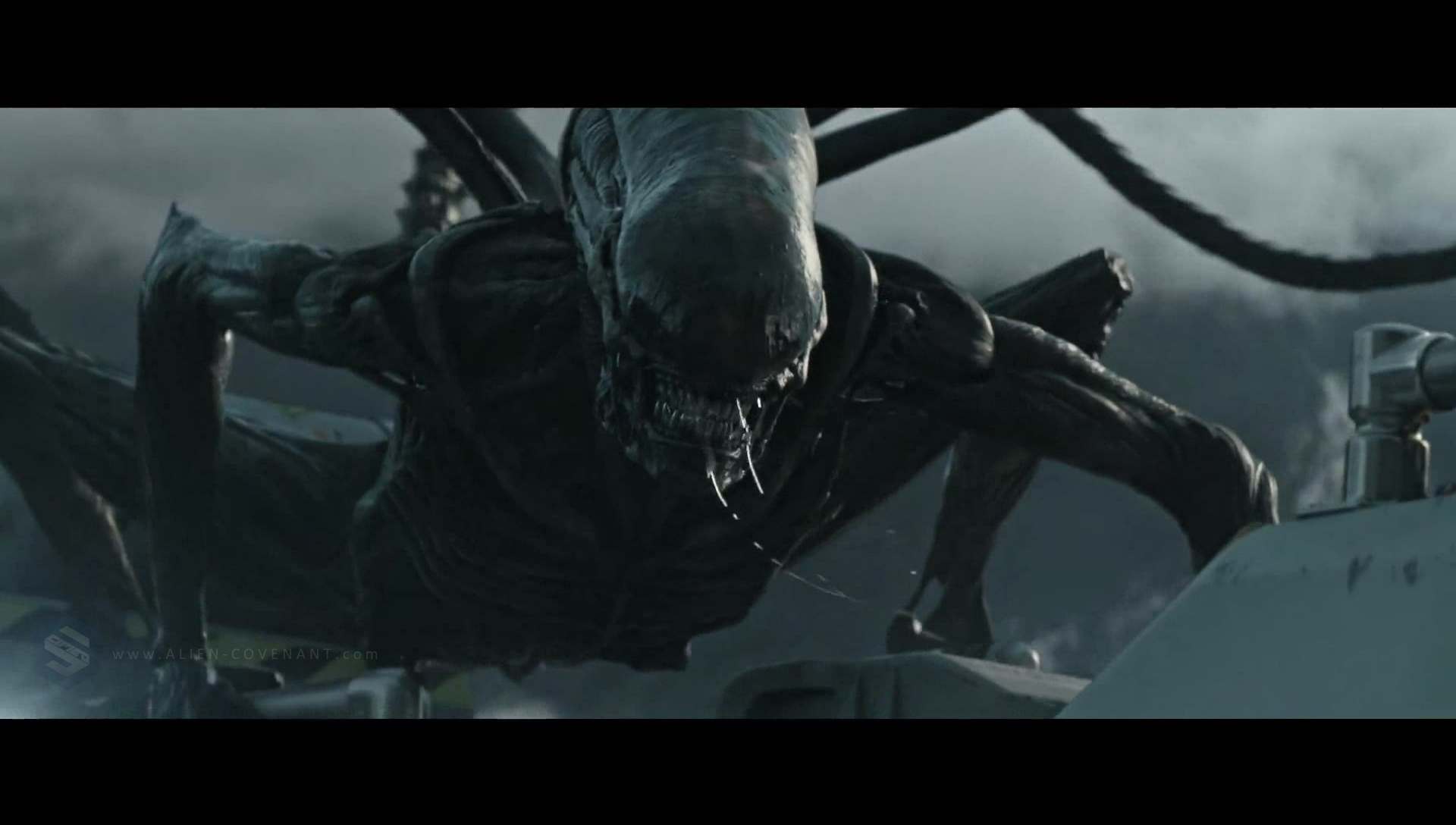 Aliens- the evolution and variances of Xenomorphs – Savior Gaming